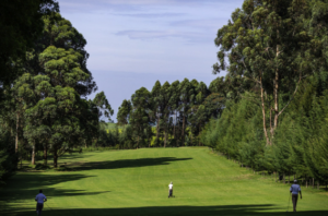 197+ BEST Club Names Ideas [Names for a Society][Cool, SSO, Games ...