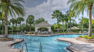 169+ Swimming Pool Names [Teams, Companies, Small, Backyard] – Tag Vault