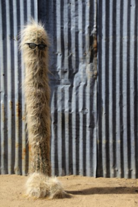 347+ Bro Names with Meanings [All Categories] – Tag Vault