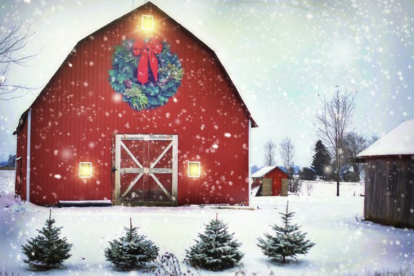 329+ Barn Names [Horse, Cow, Cool, Funny, Unusual] – Tag Vault