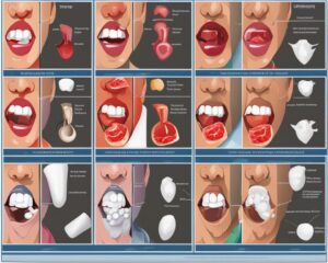 Difference Between Strep And Tonsillitis (Explained) – Tag Vault