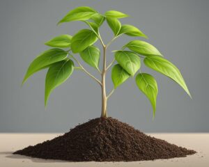 Seedling vs Sapling (Explained) – Tag Vault